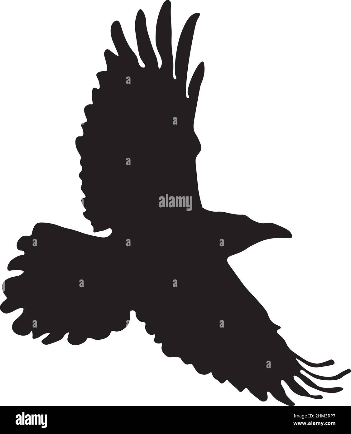 Vector image of a raven in flight created by isolating the outline of a ...