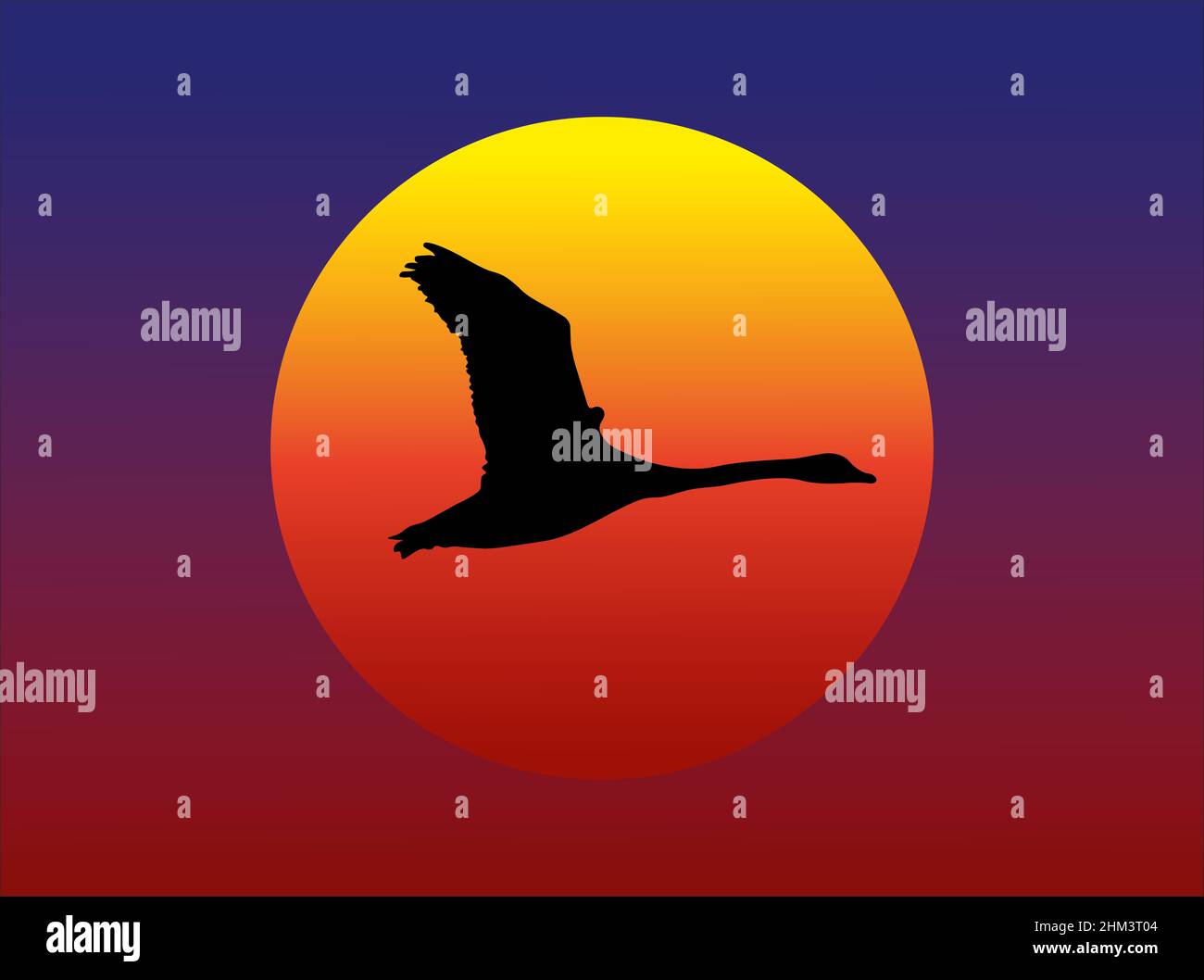 Illustration of the silhouette of a swan flying against the background ...