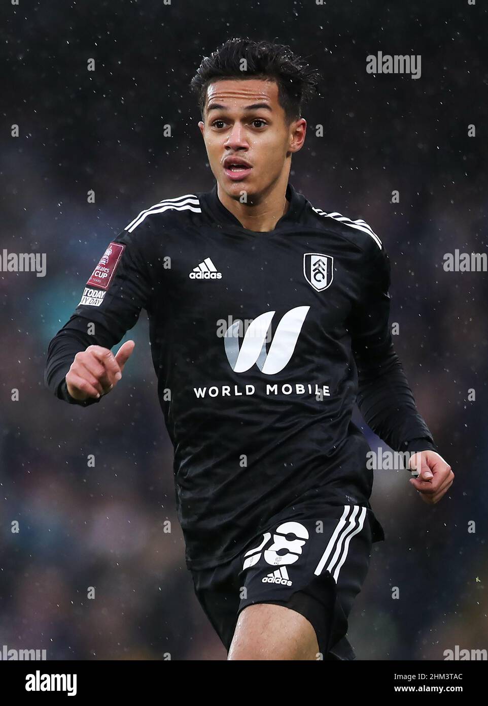 Fabio Carvalho High Resolution Stock Photography and Images - Alamy