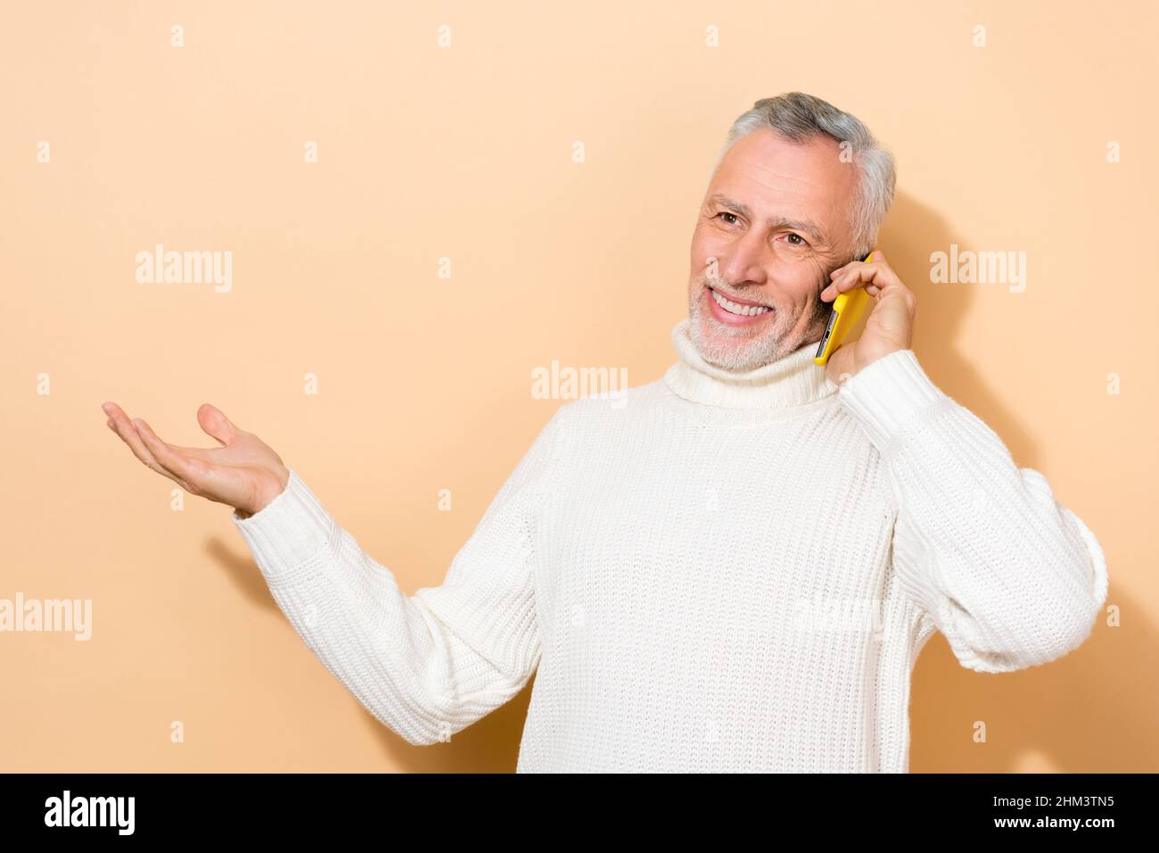Portrait of attractive cheerful grey-haired man calling operator ...