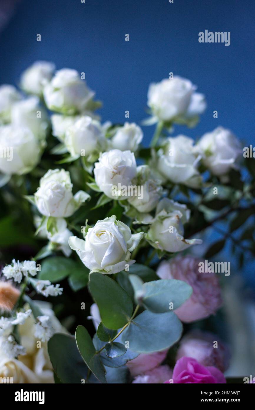 Bouquet of flowers on a blue background. Blooming flowers Stock Photo ...