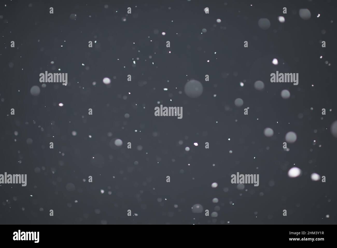 Snow on a black background. Snowflakes overlay. Snow background Stock ...