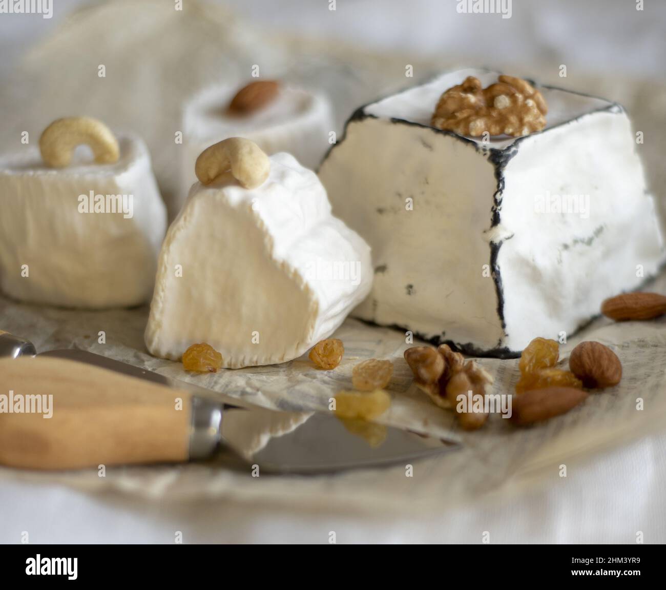 Various types of cheese with white mold on packaging paper. Home ...