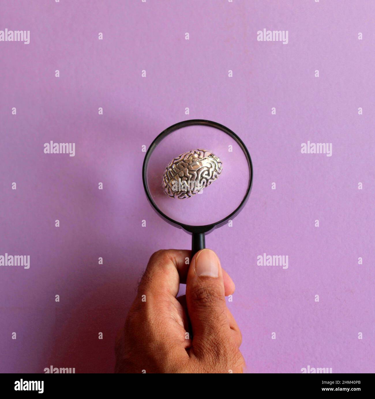 Hand holding magnifying glass and brain on purple background Stock ...