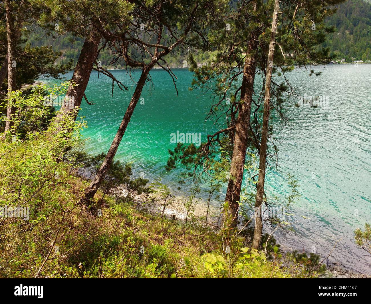 Beautiful green water in the Plans Stock Photo - Alamy