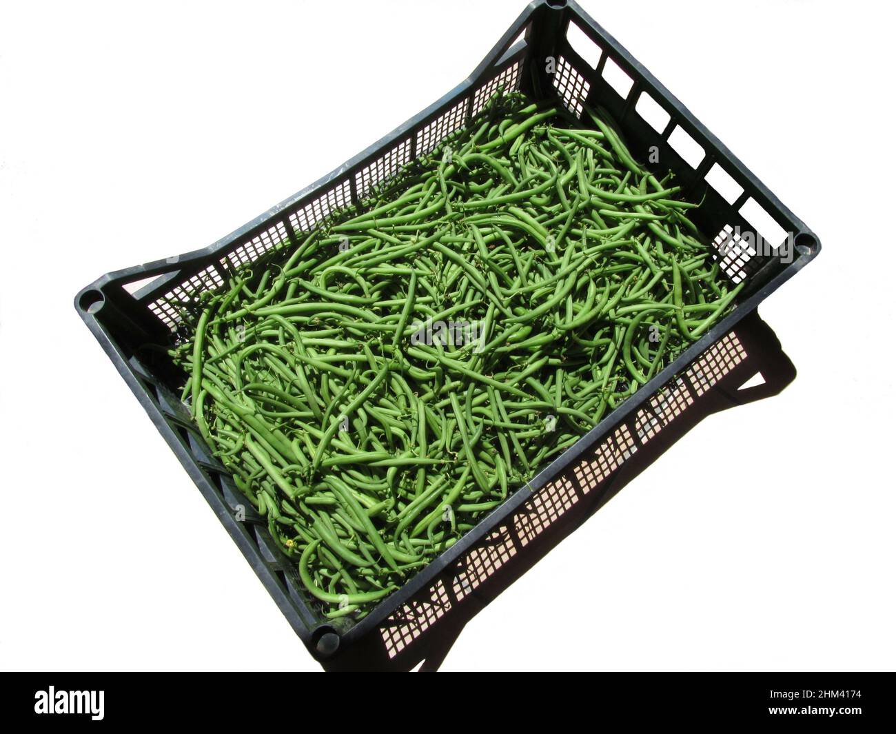 Green beans in box isolated on white Stock Photo - Alamy