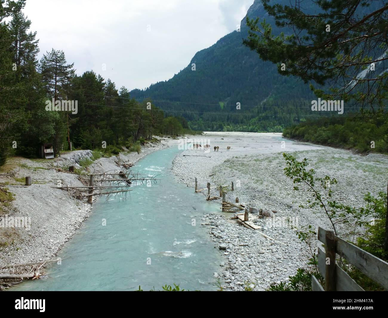 river course of the Lech Stock Photo - Alamy