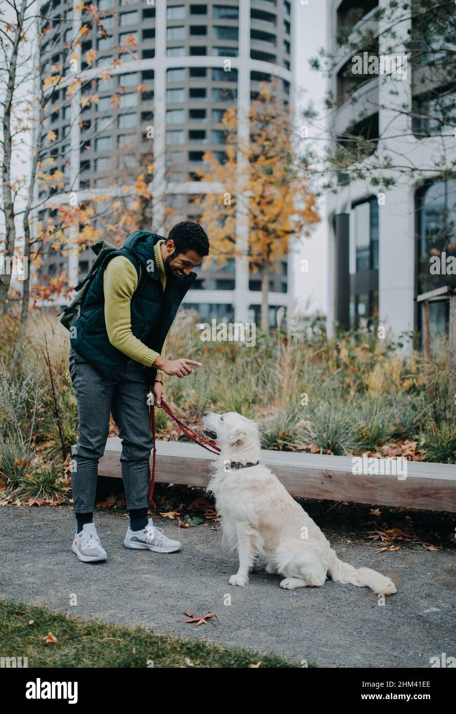 Side view of happy young man training his dog outdoors in city Stock ...