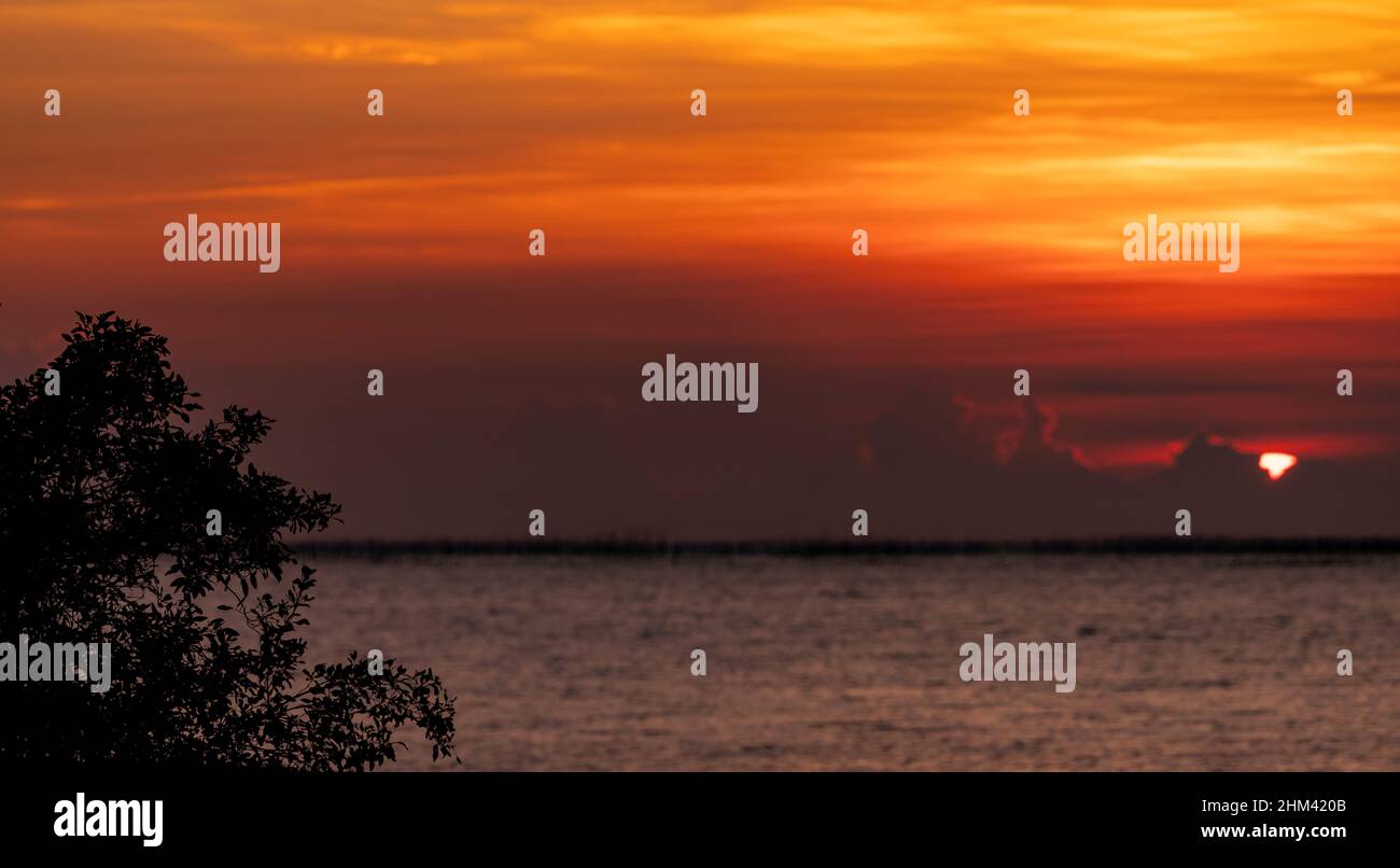 Silhouette tree on blur background of red and orange sunset sky over ...