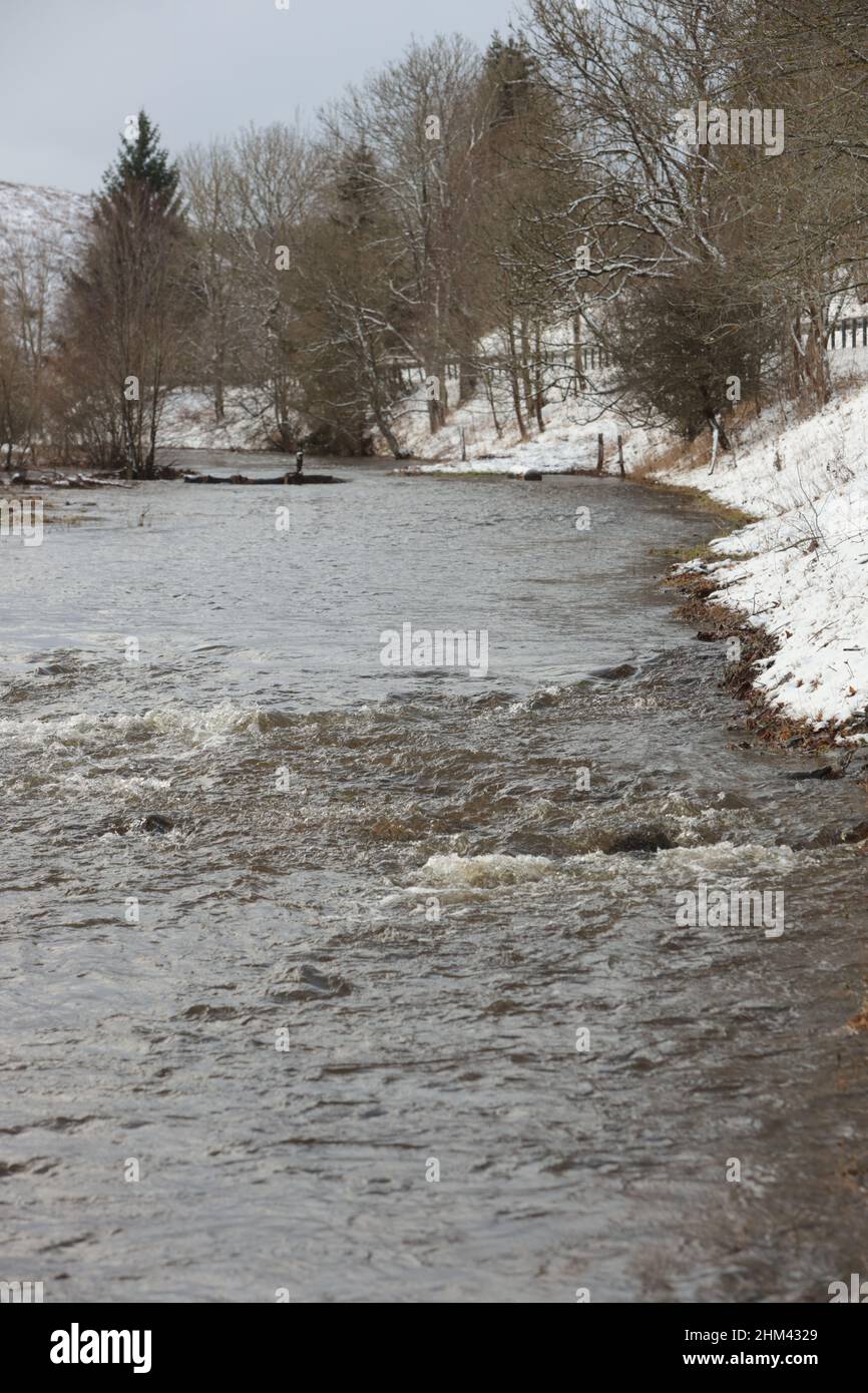 07 February 2022, Saxony-Anhalt, Tanne: Flooded meadows are the result ...