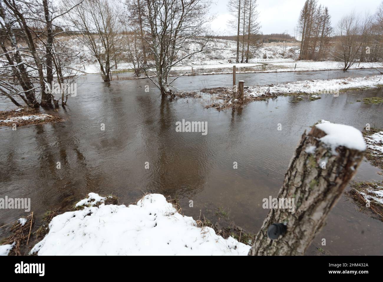 07 February 2022, Saxony-Anhalt, Tanne: Flooded meadows are the result ...