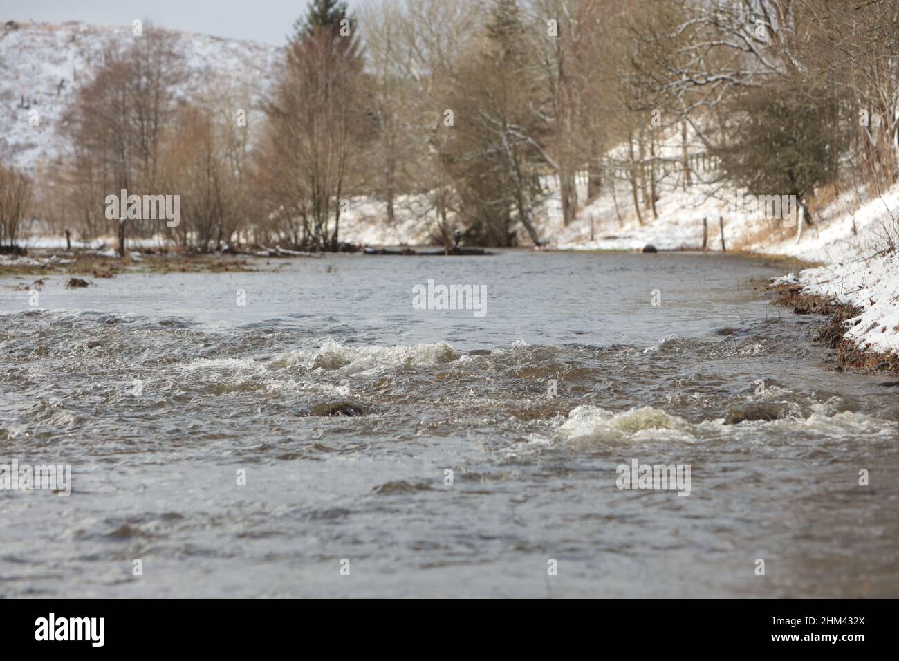 07 February 2022, Saxony-Anhalt, Tanne: Flooded meadows are the result ...
