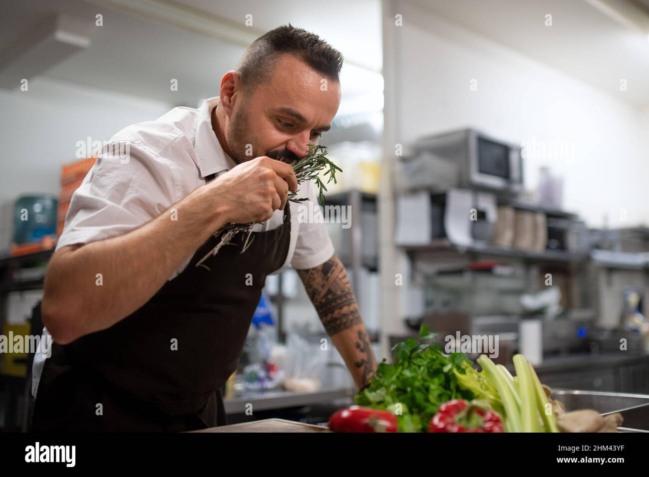 Professional herb hi-res stock photography and images - Alamy