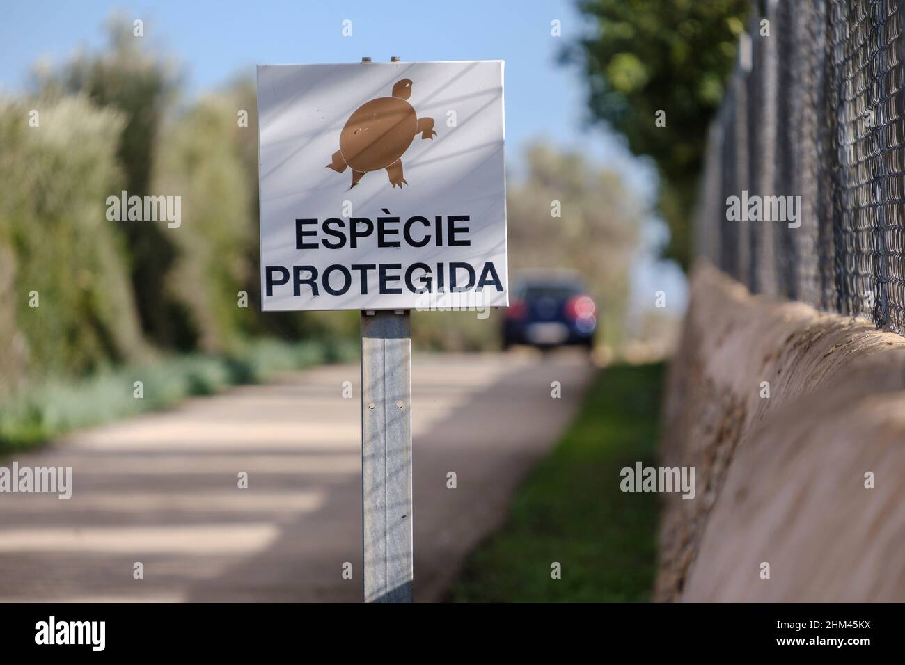 Tortoise warning road sign hi-res stock photography and images - Alamy