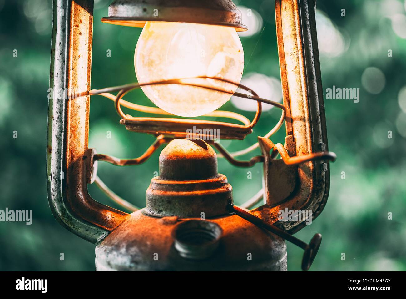 Vintage forest wallpaper hi-res stock photography and images - Alamy