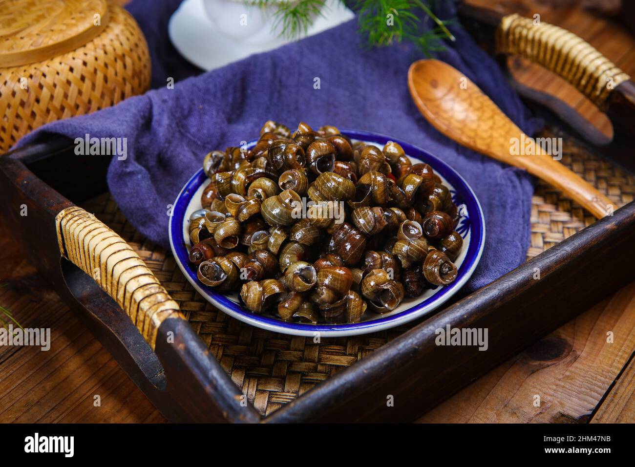 Snails body hi-res stock photography and images - Alamy