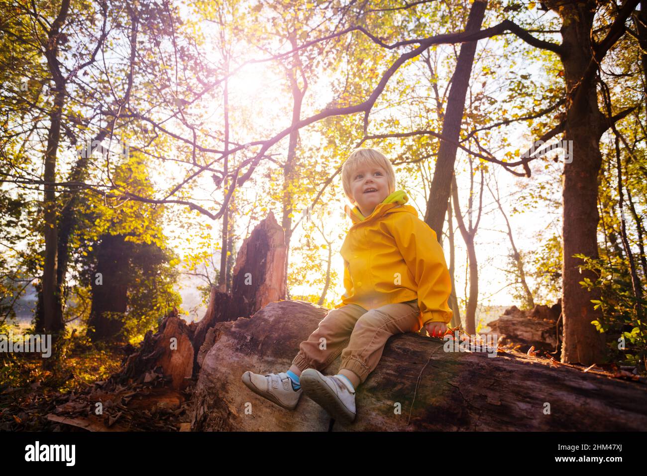 Autumn sunset children trees hi-res stock photography and images - Alamy