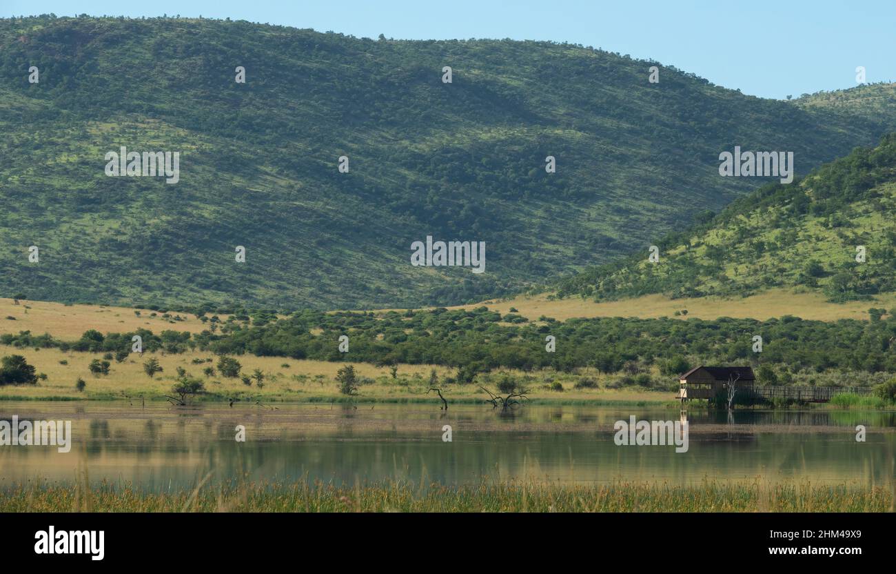 Mankwe hide and dam Stock Photo - Alamy