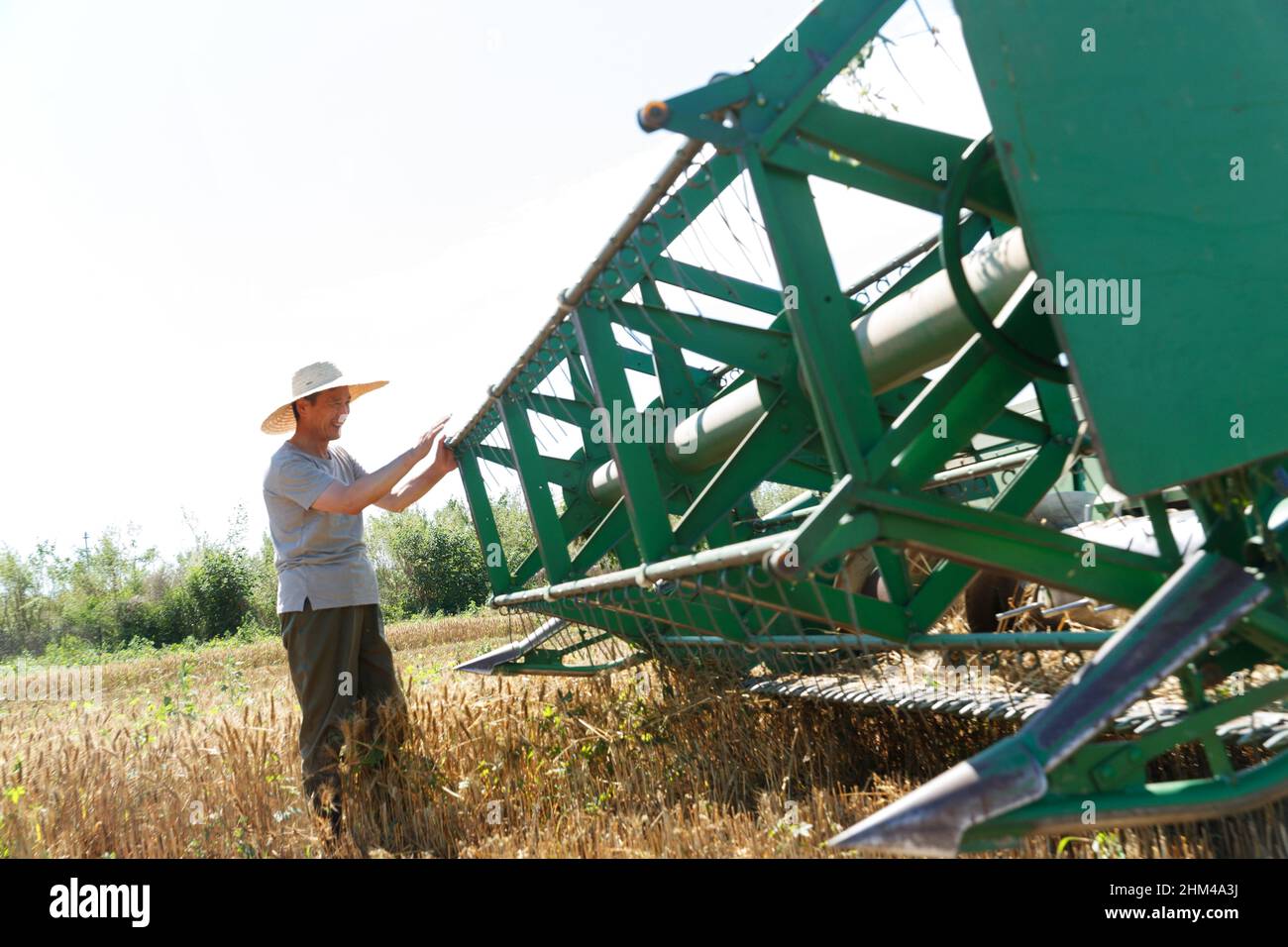 Mechanized harvesting hi-res stock photography and images - Alamy