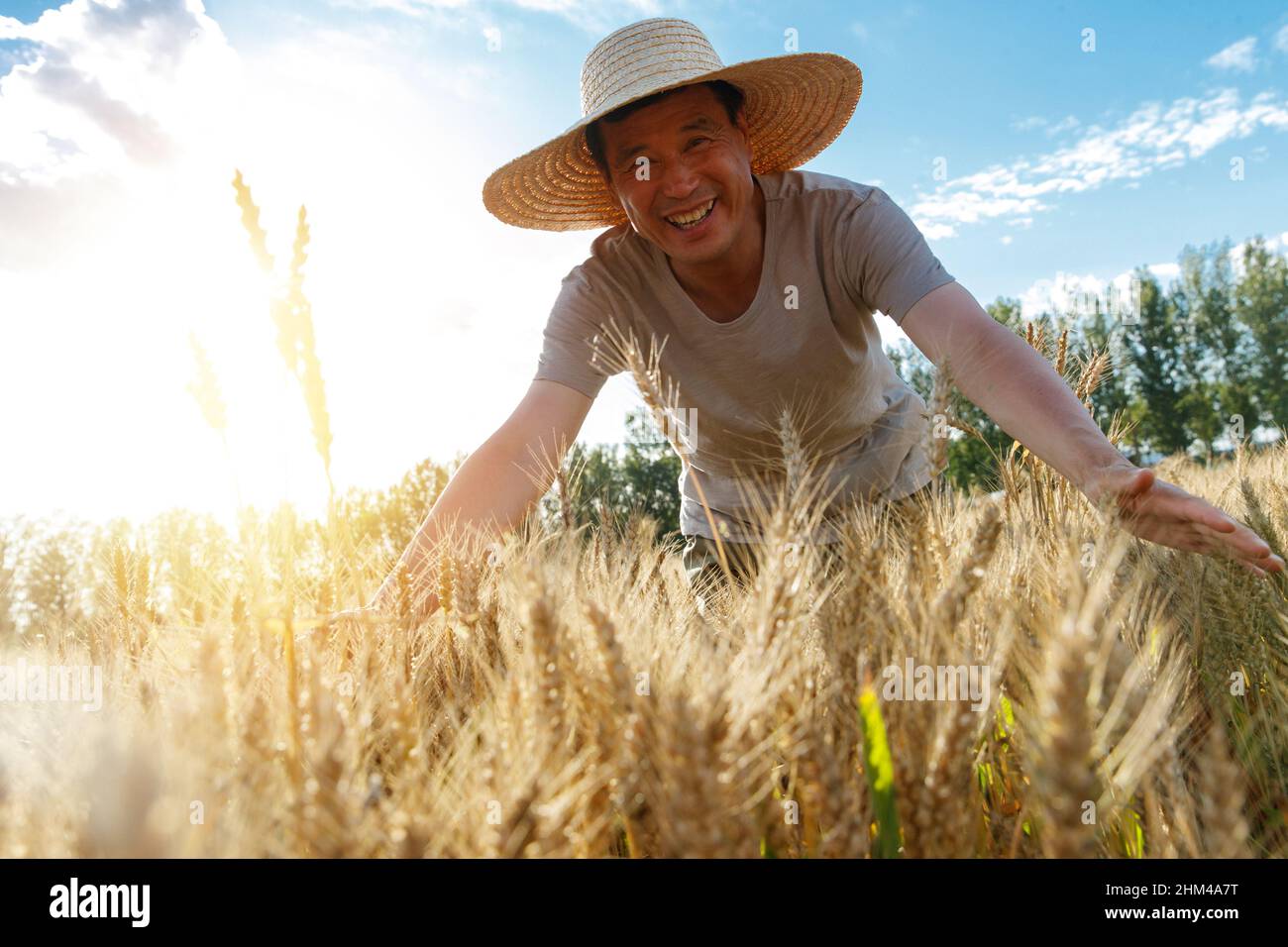 Catcher in farmers is permeated with the joy of harvest Stock Photo - Alamy