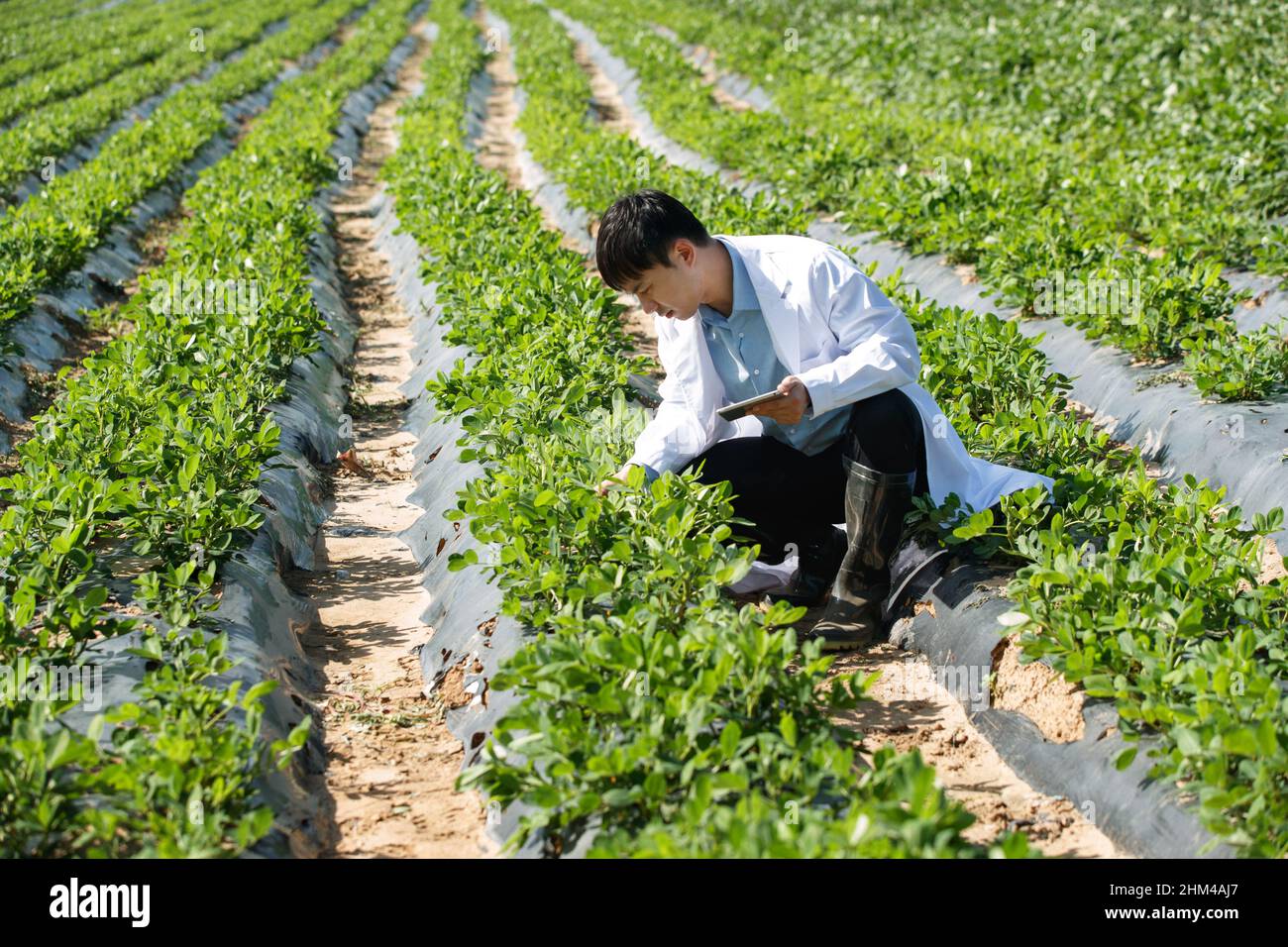 Field research village hi-res stock photography and images - Alamy