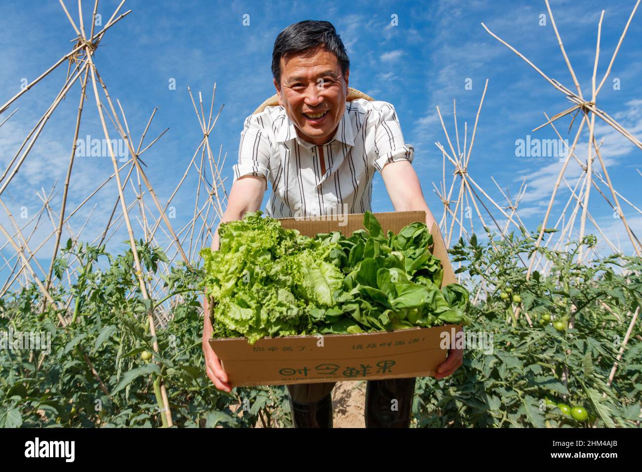 Vegetable farmers carrying a box Stock Photo - Alamy