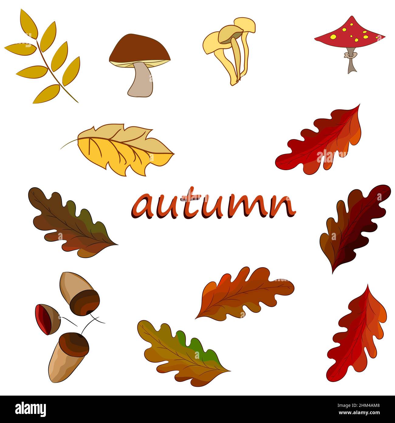 Autumn set of leaves with mushrooms and acorns on a white background ...
