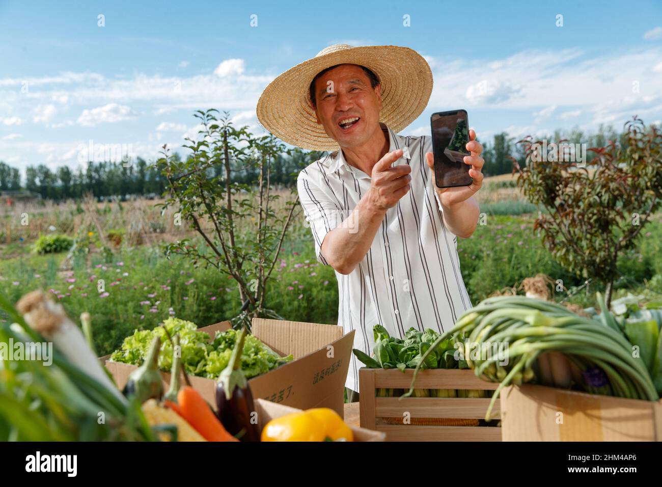 Farmers live online sales of agricultural products Stock Photo - Alamy