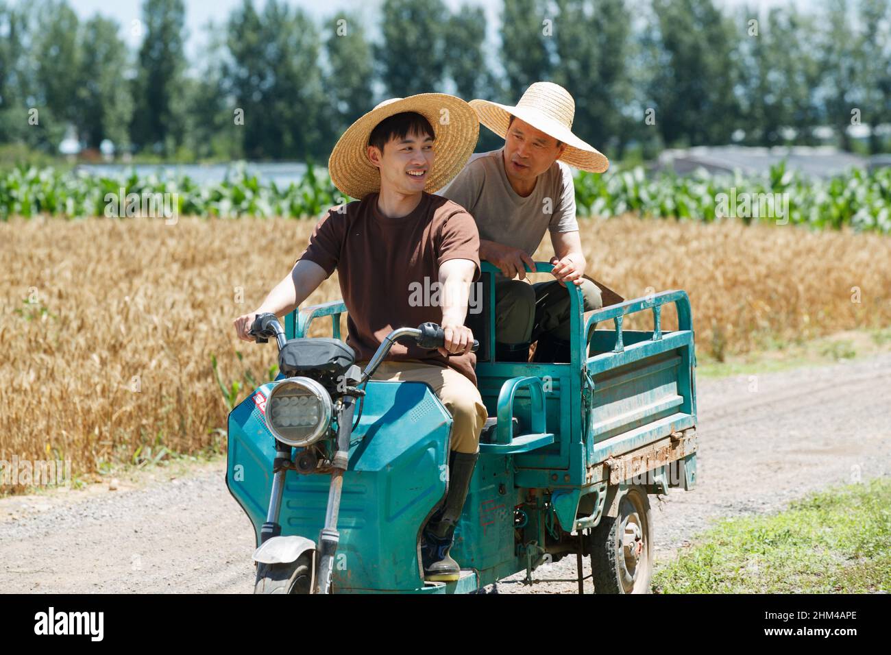 Driving tricycle farmers Stock Photo - Alamy