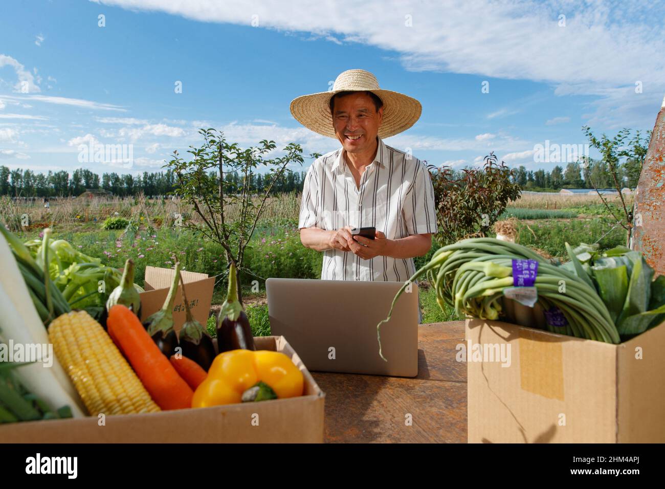 Sales agricultural products hi-res stock photography and images - Alamy