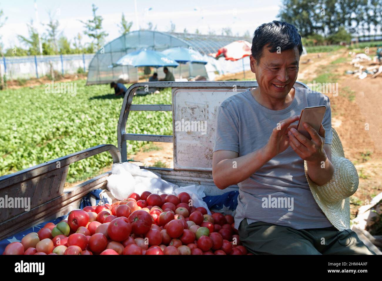 Farmers selling tomatoes Stock Photo - Alamy