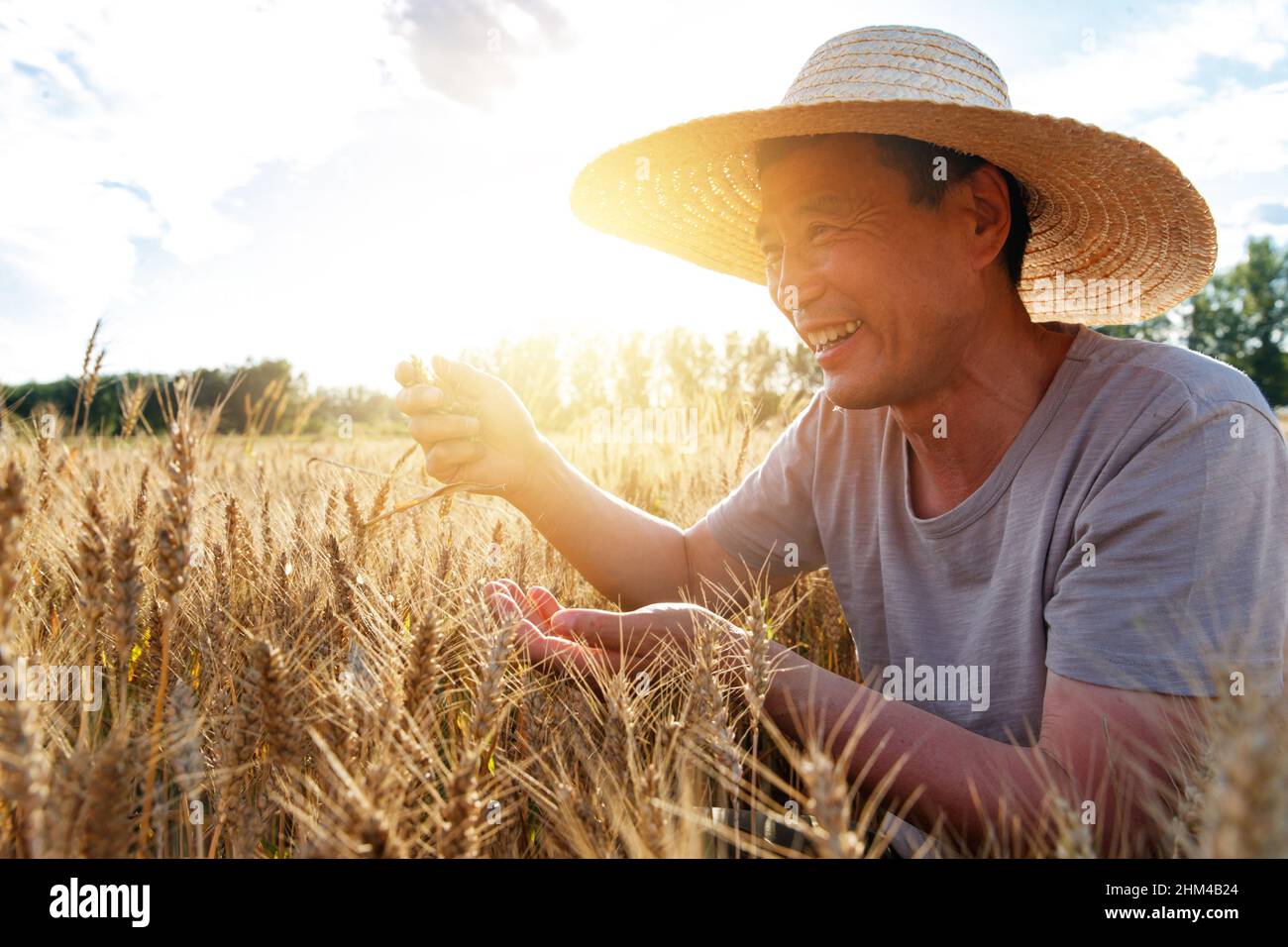 Joy of harvest hi-res stock photography and images - Alamy