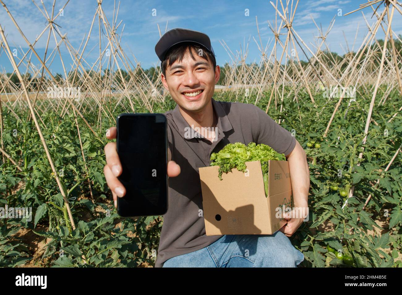 Person delivering vegetable box hi-res stock photography and images - Alamy