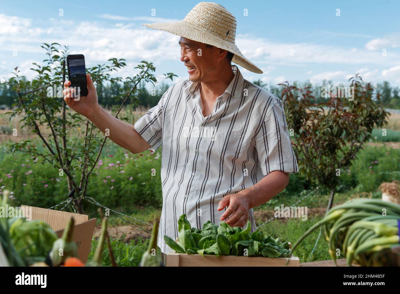 Corn sales hi-res stock photography and images - Alamy