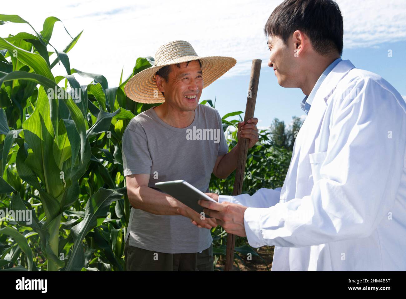 Researchers and farmers communication technology in the vegetable ...