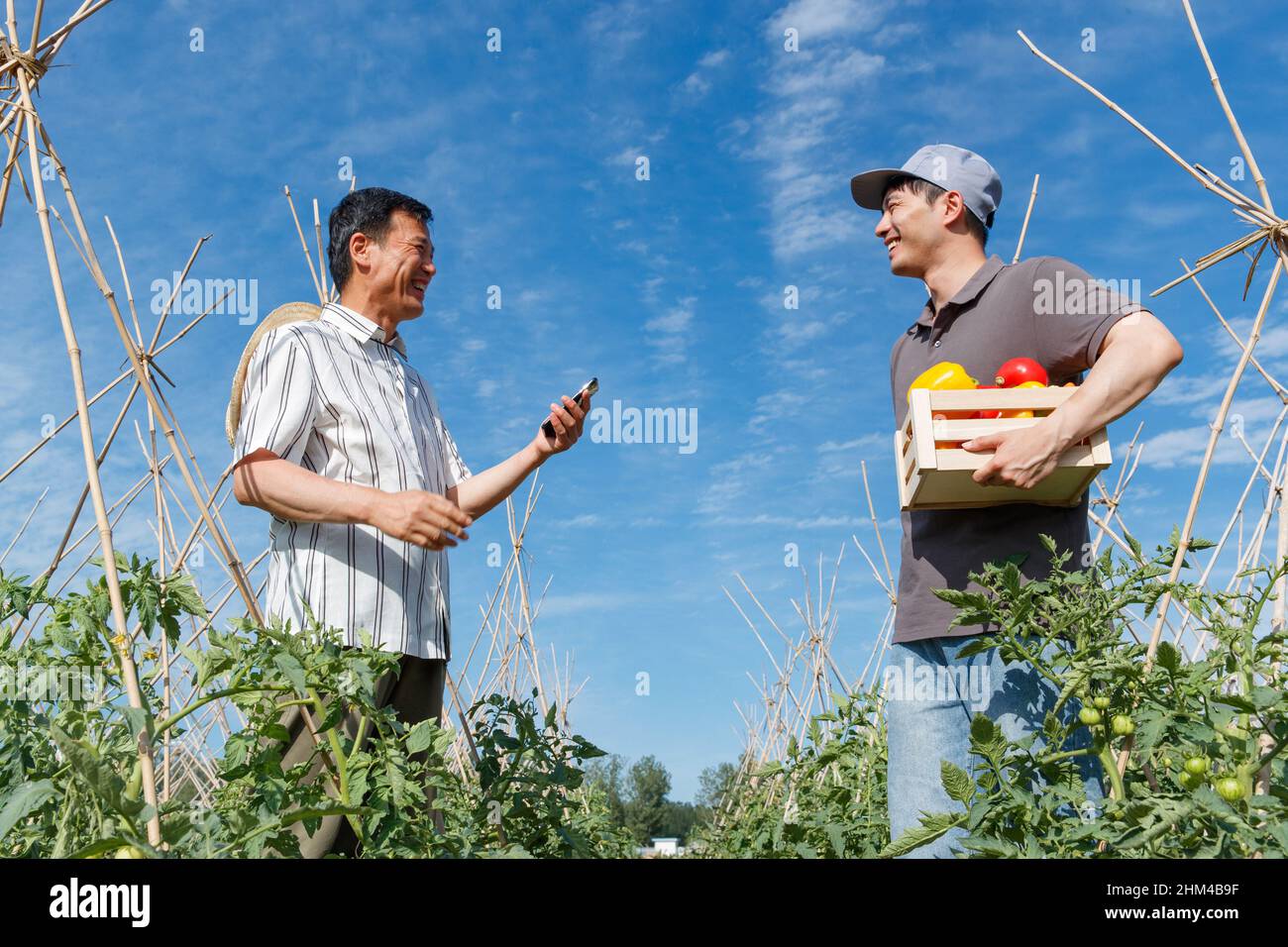 Farmers express vegetables Stock Photo - Alamy