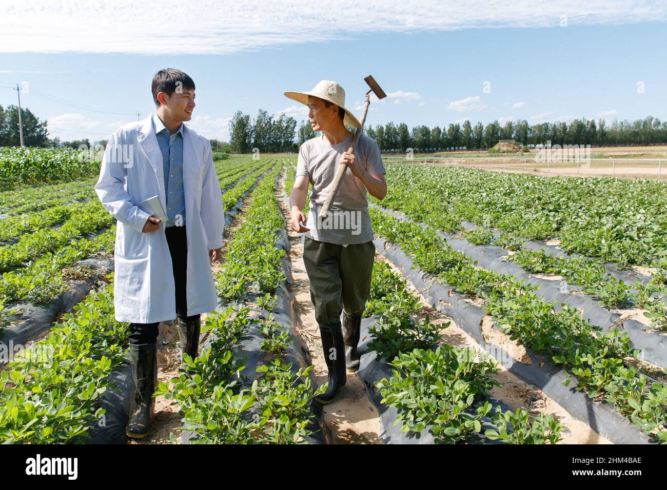 Researchers and farmers communication technology in the vegetable ...
