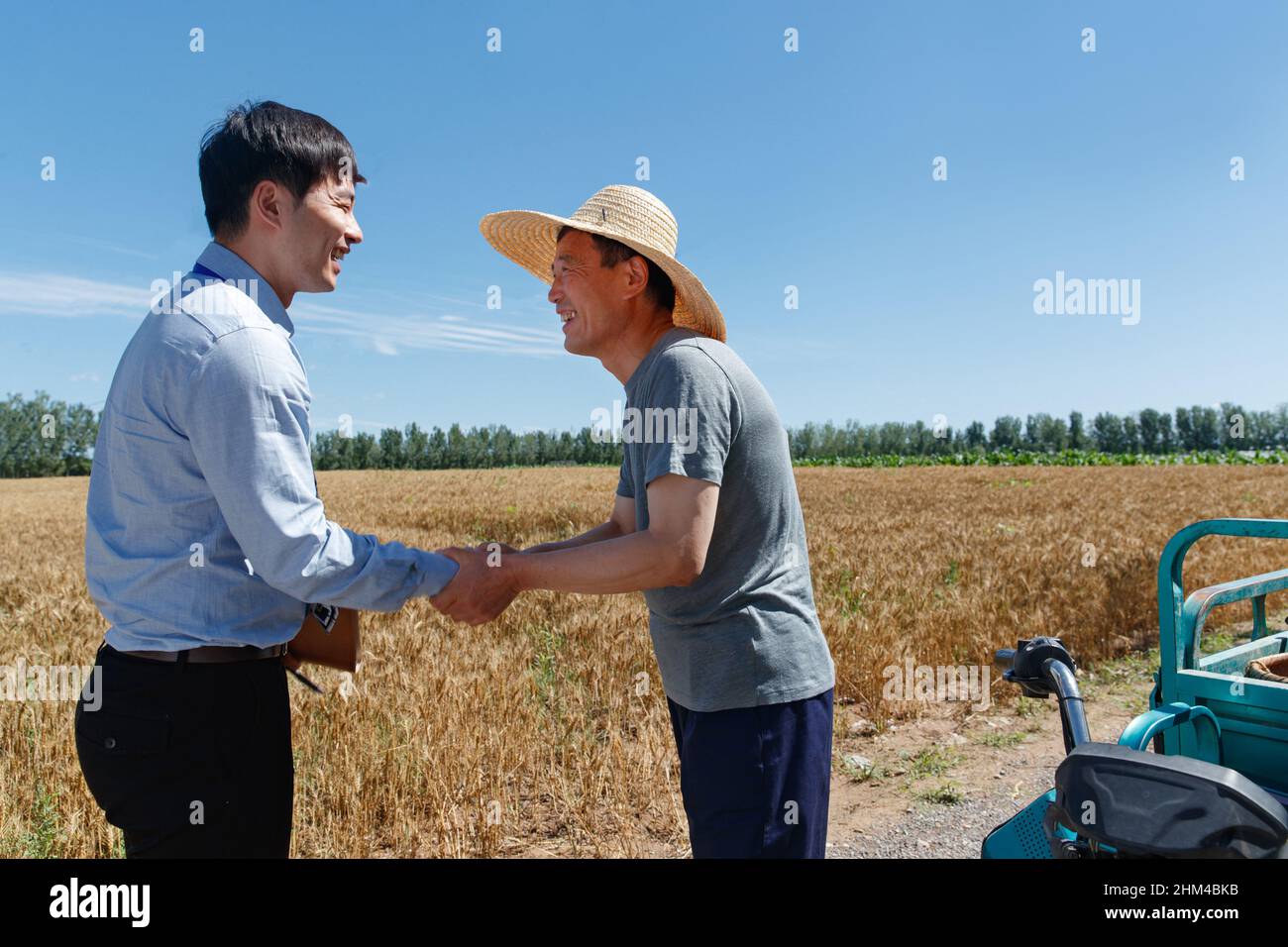 Young farmers planting wheat hi-res stock photography and images - Alamy
