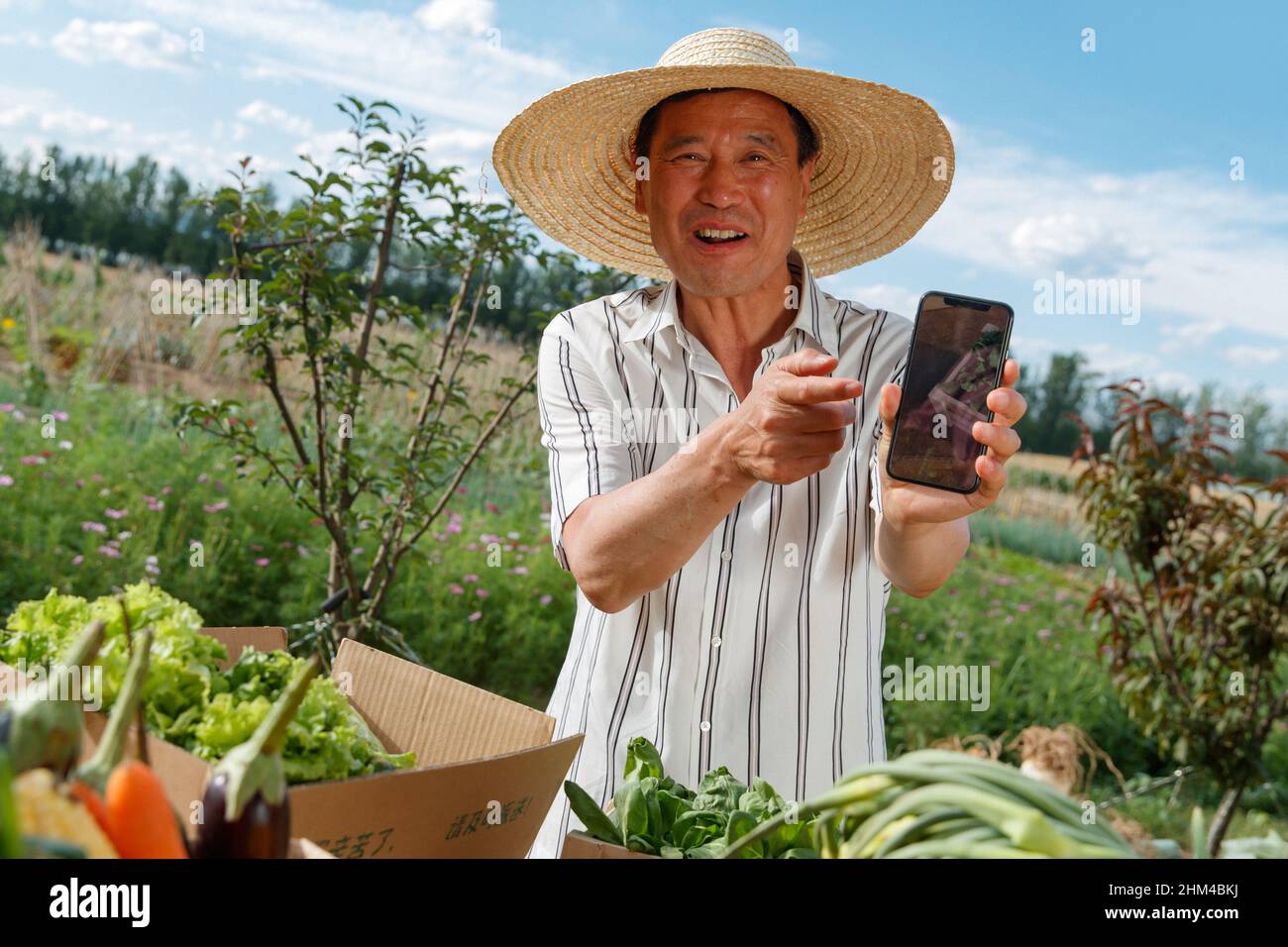 Farmers live online sales of agricultural products Stock Photo - Alamy