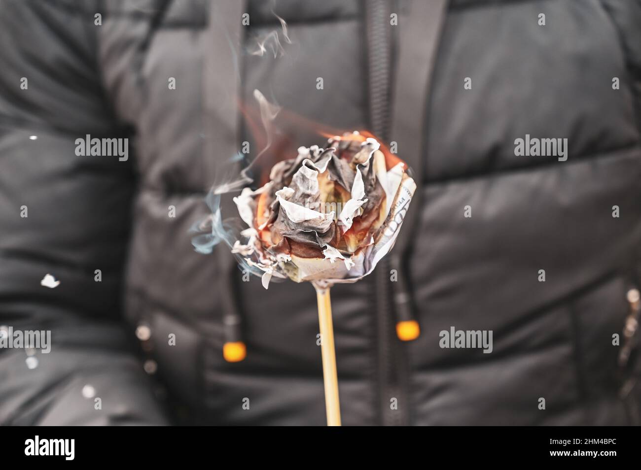 Origami paper flower burns against the black henge. Burning Rosebud ...