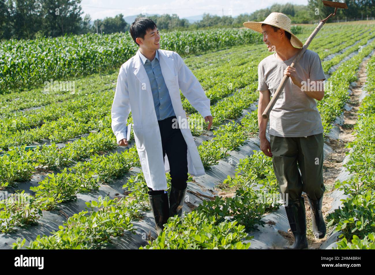 Researchers and farmers communication technology in the vegetable ...