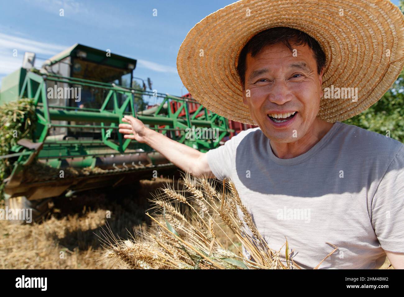 Permeated hi-res stock photography and images - Alamy