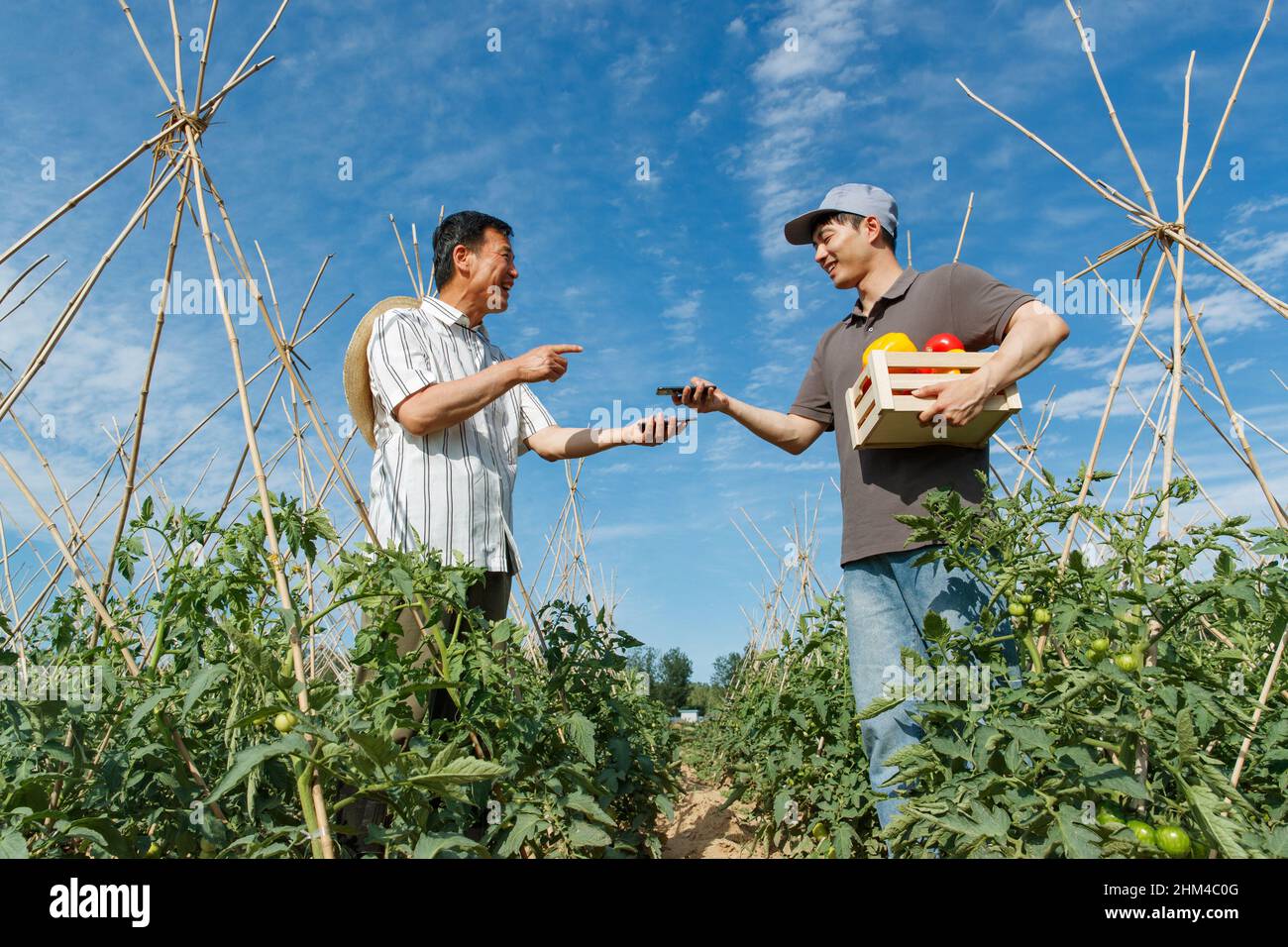 Farmers express vegetables Stock Photo - Alamy