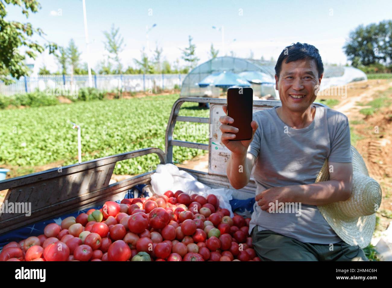 Farmers selling tomatoes Stock Photo - Alamy