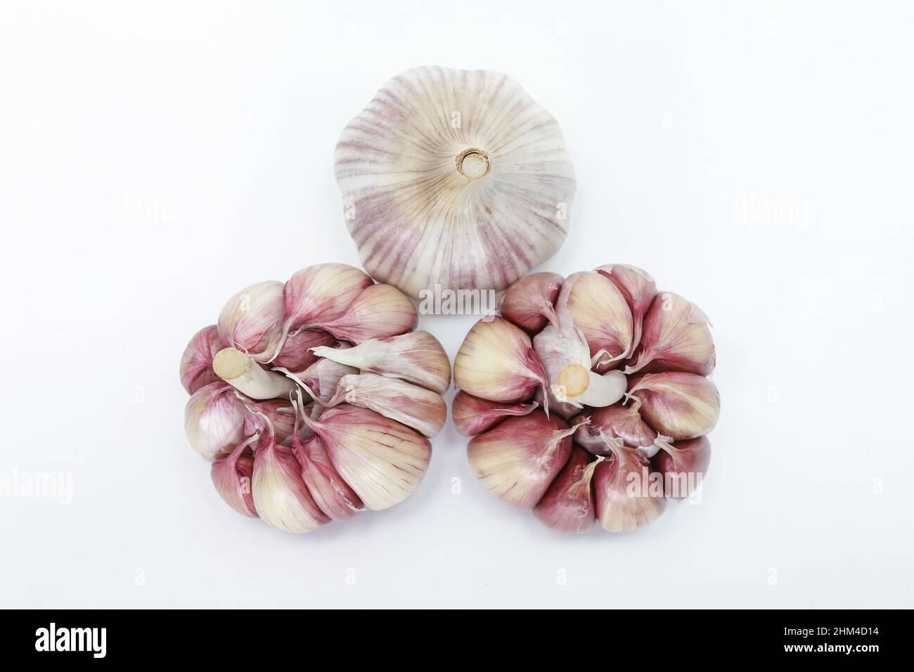 Three heads of garlic (Allium sativum), seen from above, with their ...