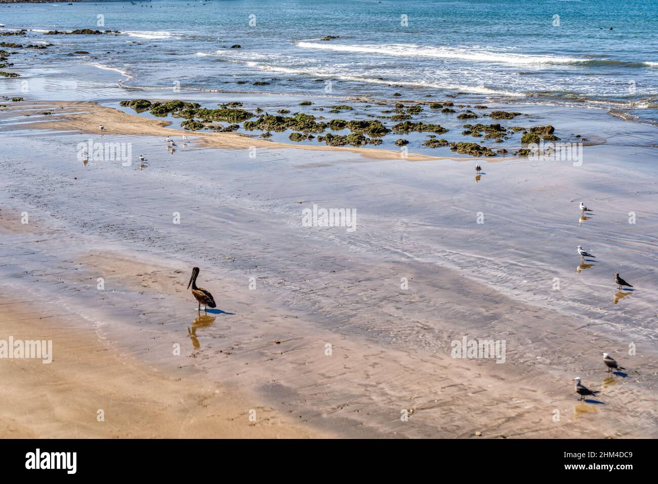 Beach in Mazatlan, Mexico Stock Photo - Alamy