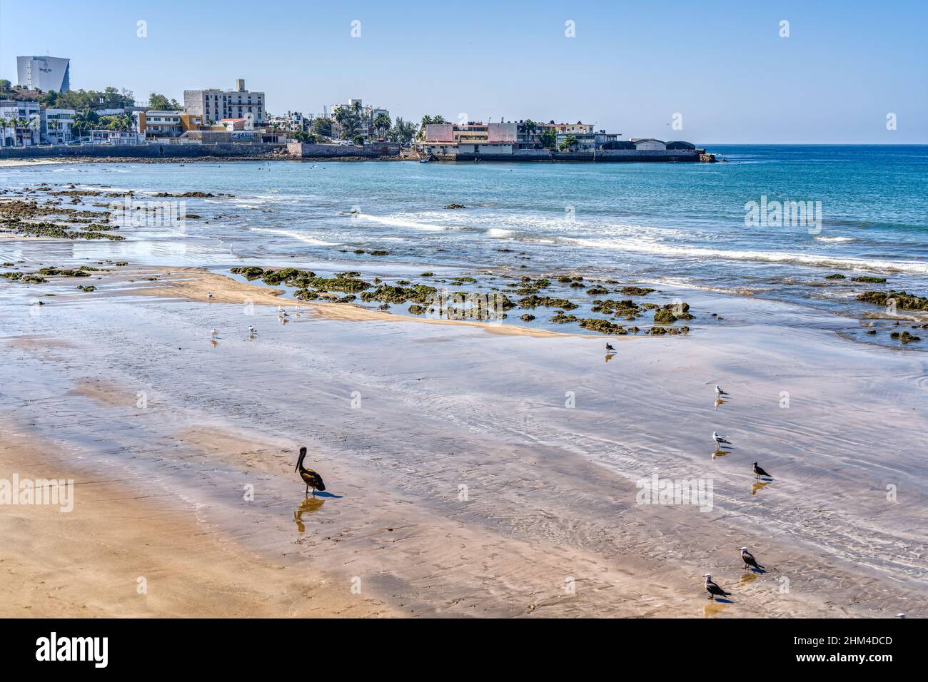Beach in Mazatlan, Mexico Stock Photo - Alamy
