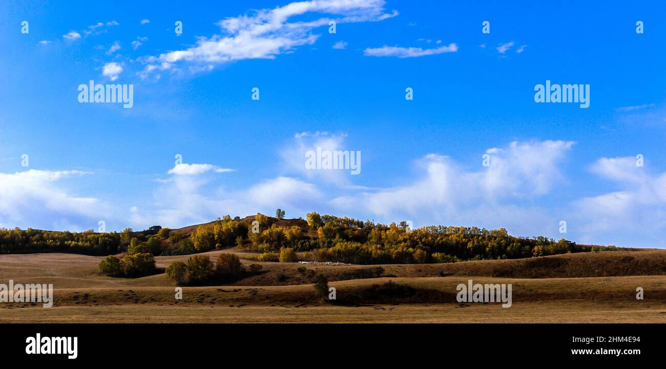 Famous autumn colour hi-res stock photography and images - Alamy
