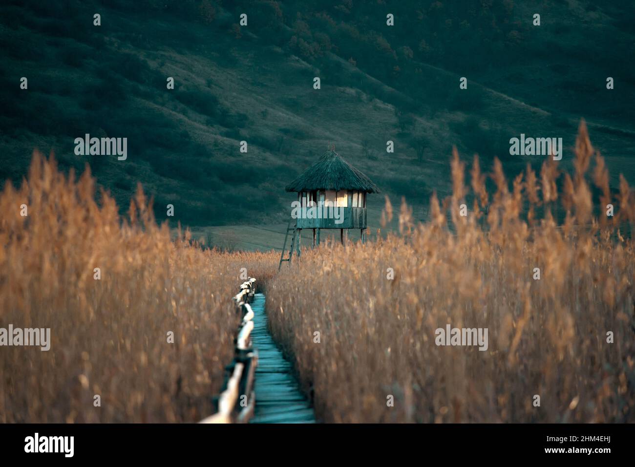 Old wooden boardwalk with a railing on the side and watchtower in the ...