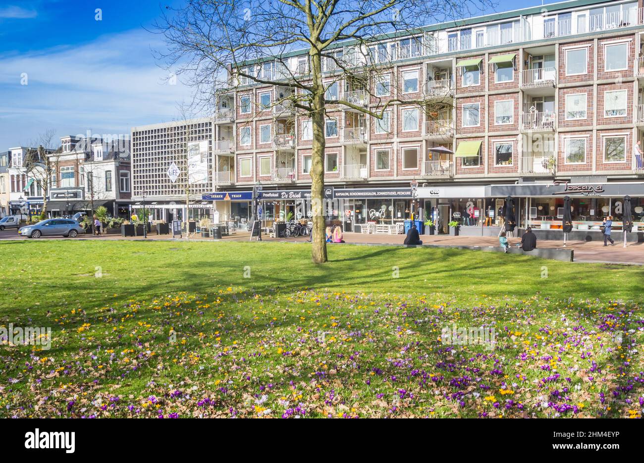 Park with colorful spring flowers at a shopping street in Assen ...